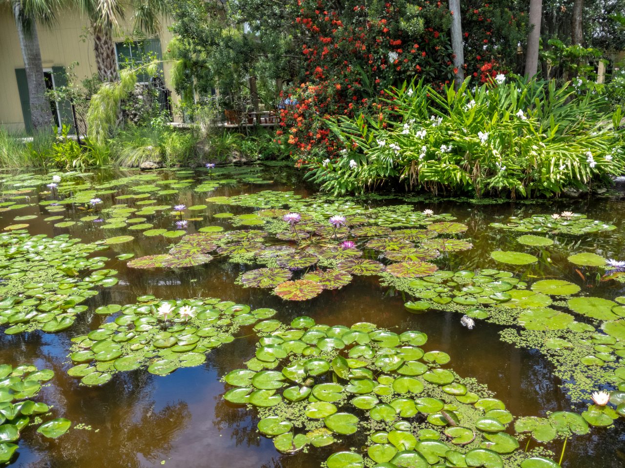 About | Fairlane Harbor Homes