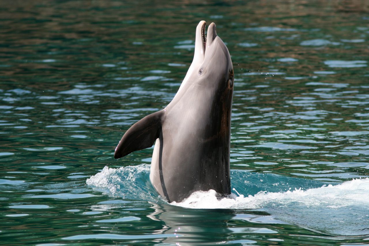 About - Fairlane Harbor Homes